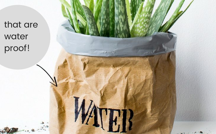 How to create a DIY planter bag using kraft paper - Imagelien