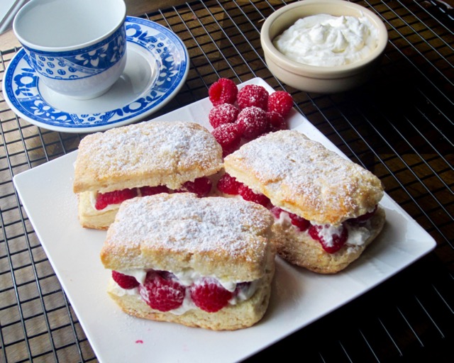Raspberry Shortcakes Recipe – Animals