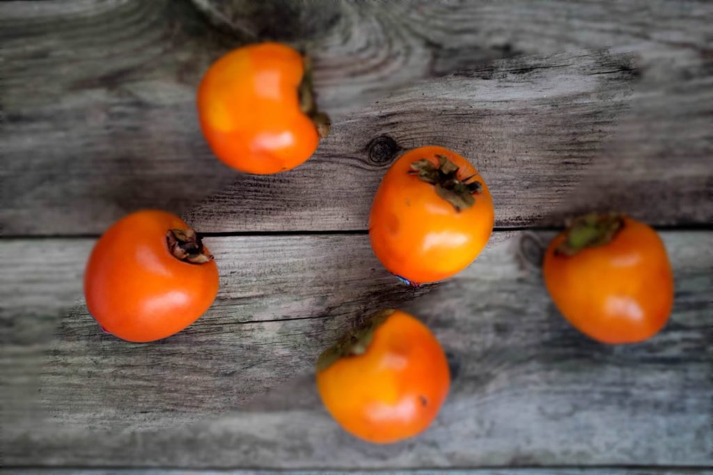 How to grow persimmons (even in pots)